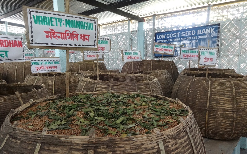 Lotus Progressive Centre